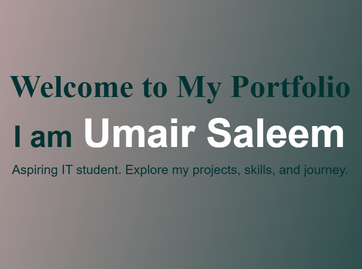Umair Saleem | Portfolio